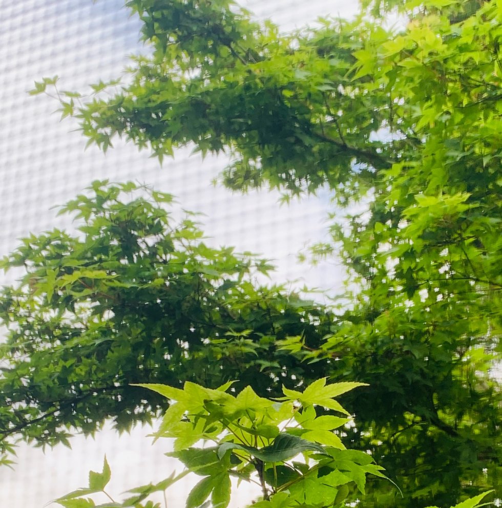 Shading Devices - Urban Farm And House